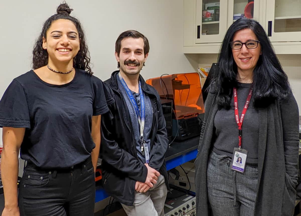 How to apply - Lady Davis Institute